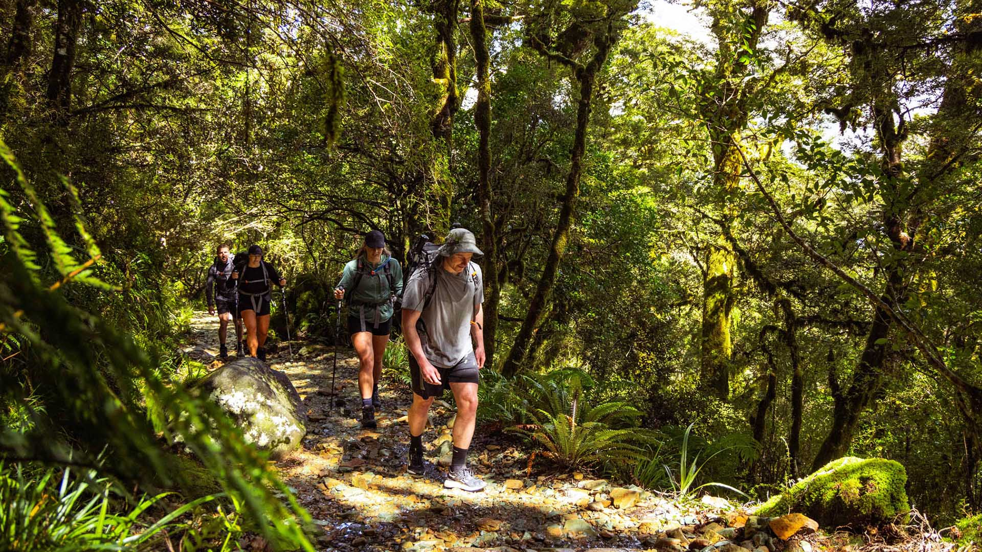 Routeburn Track