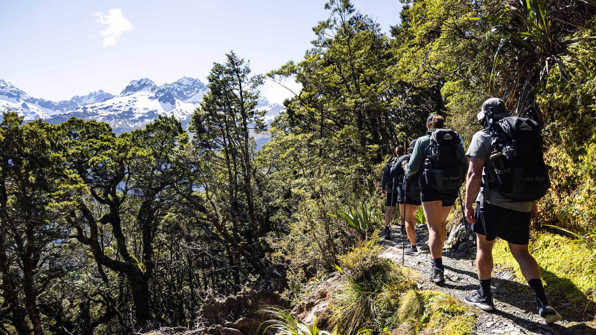 Routeburn Track