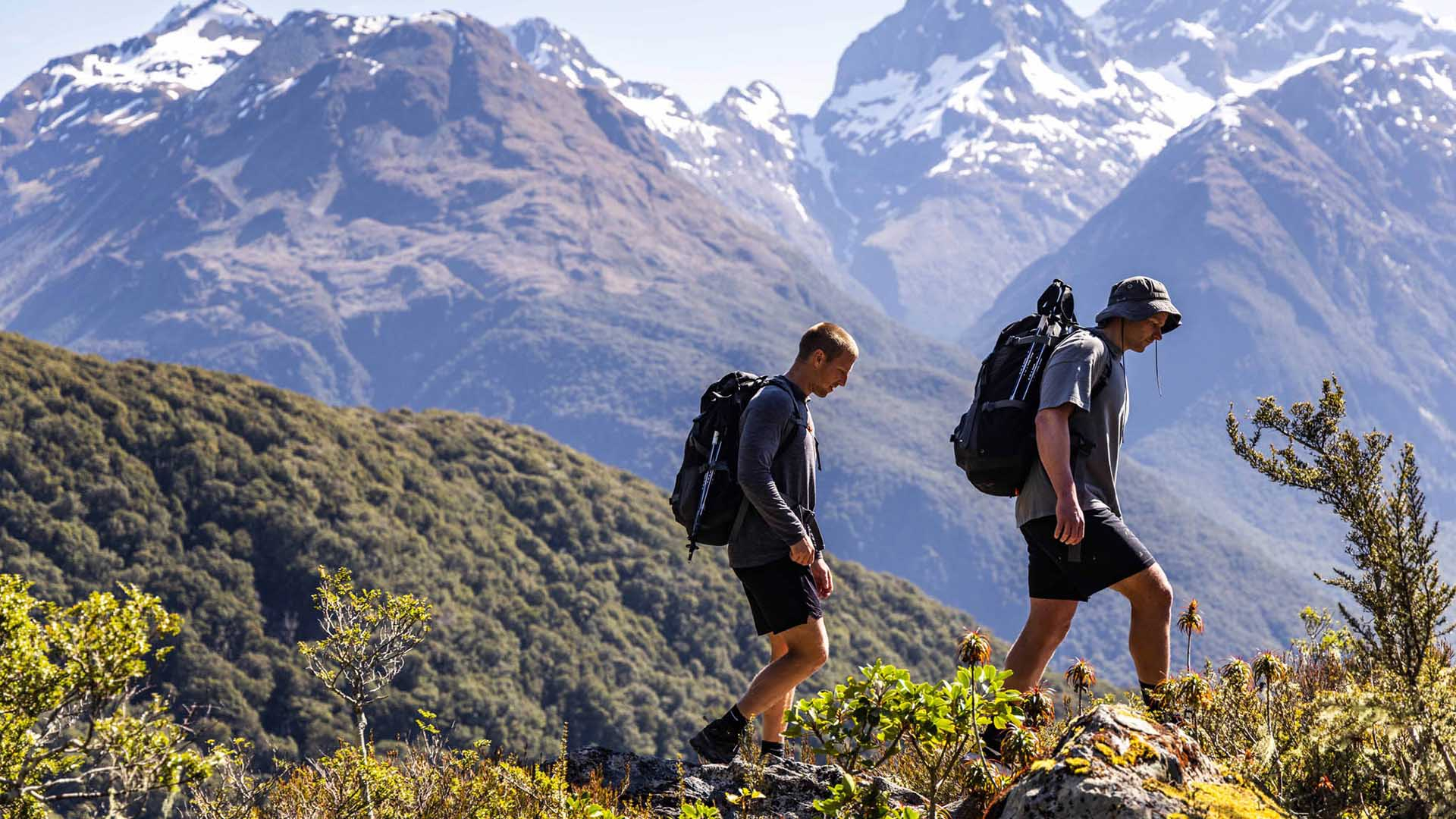 Routeburn Track